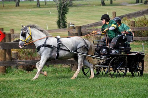 Kentucky Classic CDE | The Slower Road | Page 3